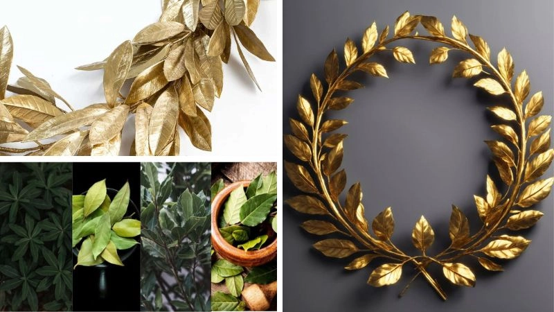 Ý nghĩa sâu sắc của hình nền lá nguyệt quế trong đời sống